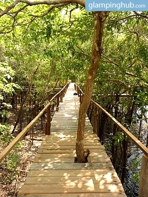 Jungle tree house lodge Amazon Rainforest | River Bungalows in