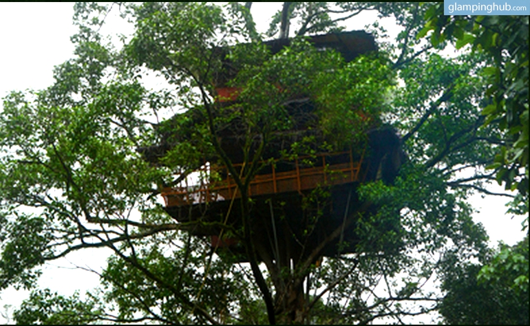 Luxury Treehouse in India | Luxury Camping in India