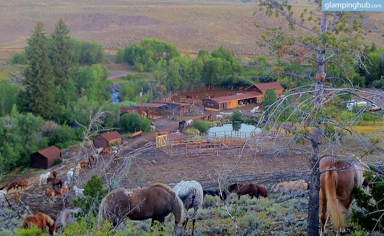 Ranch Accommodation in Wyoming | Luxury Camping in Wyoming