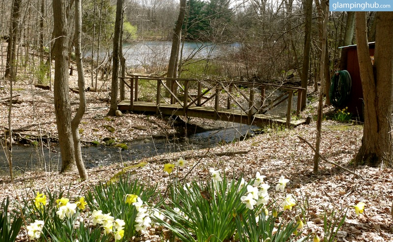 Luxury Cabin New York