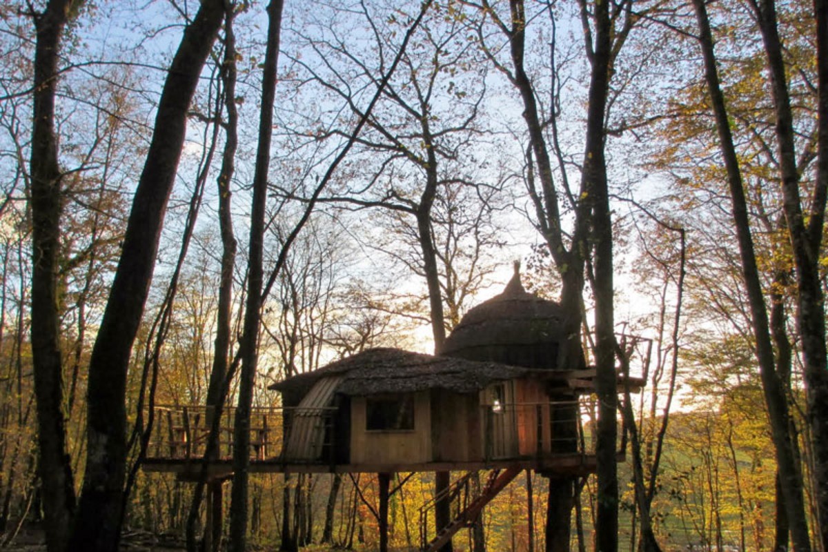 Tree House Getaways | glampinghub.com
